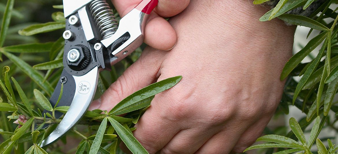 Turners Retreat - The Woodworkers Source - Turners Retreat