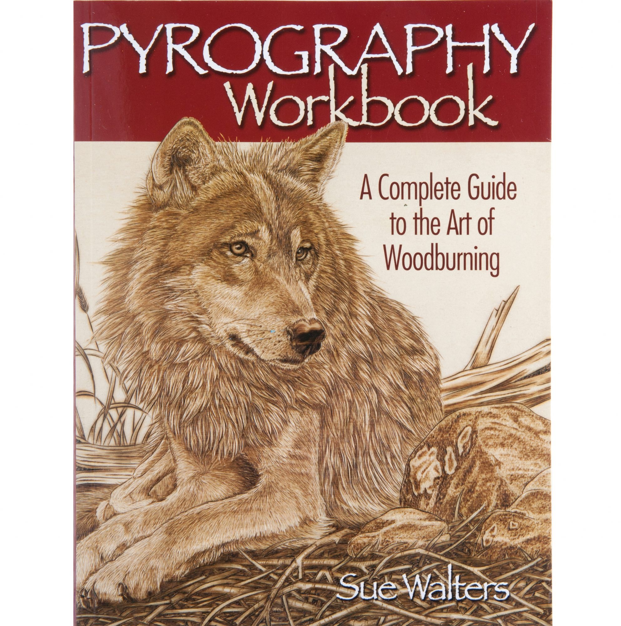 Pyrography Workbook: A Complete Guide to the Art of Woodburning ...