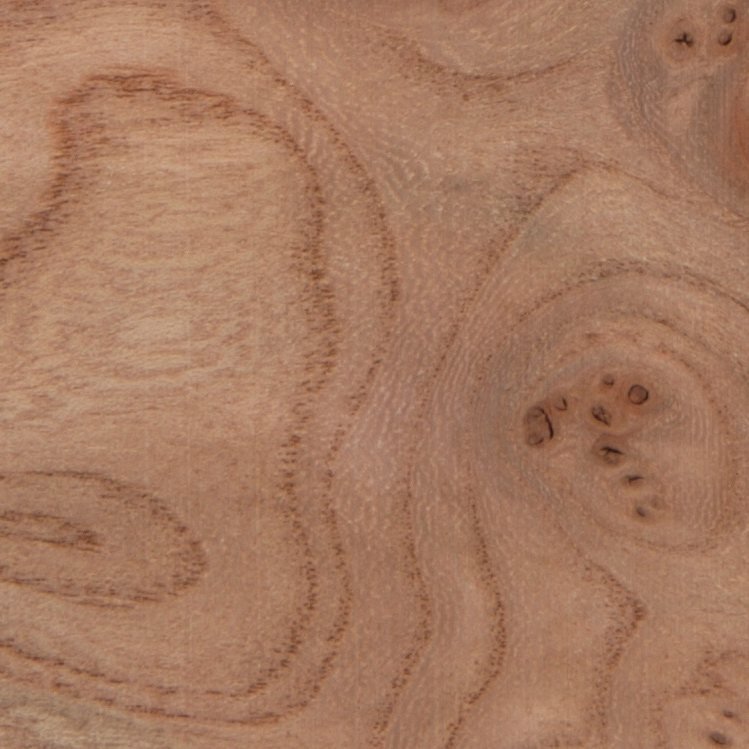 Elm Cluster Burr Veneer - Turners Retreat