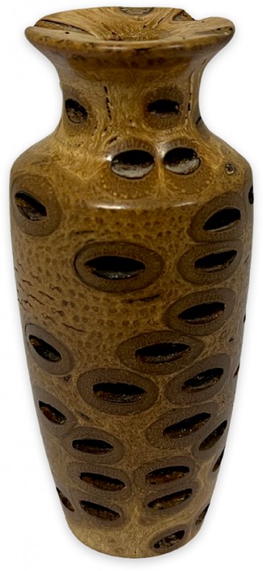 Banksia Nut - Turners Retreat